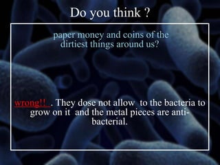 Bacterial Morphologies2012 By: Miss Ebtehal . O . Bassaife | PPTX ...