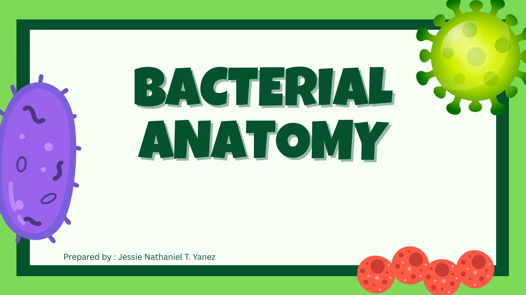 Bacterial-anatomy_20251206_134612_0000.pdf