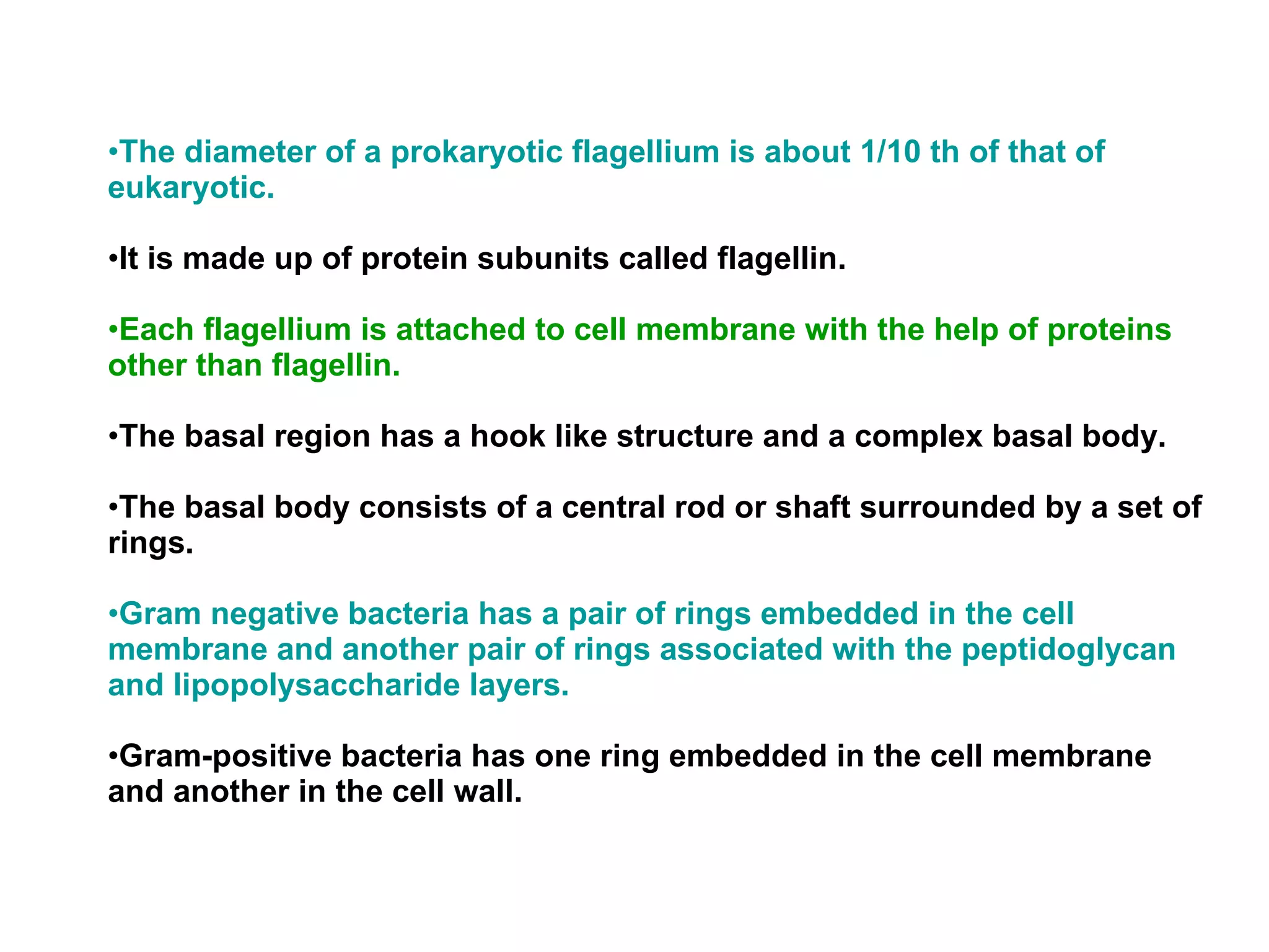 Bacterial Cell | PPT
