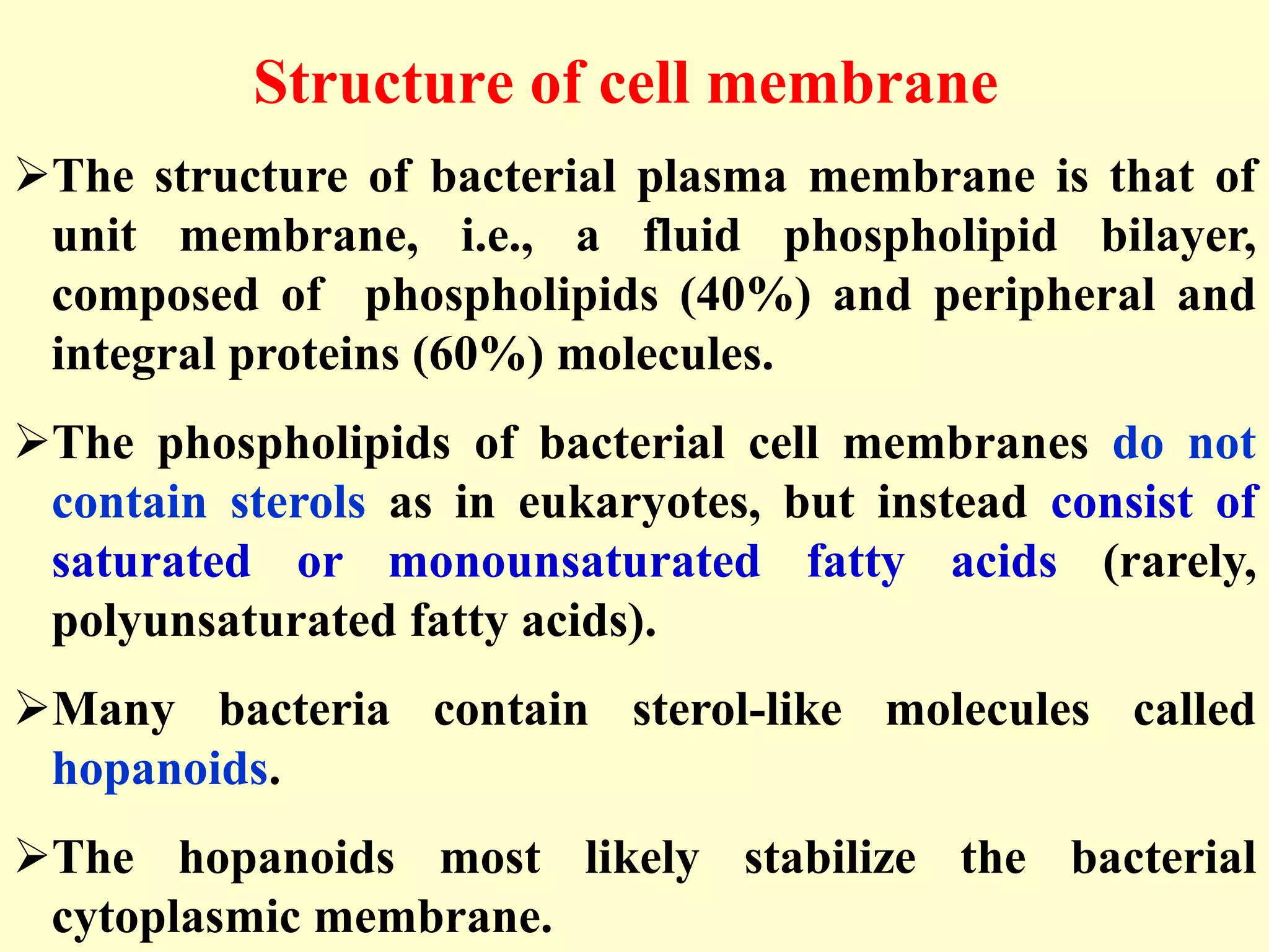 Bacterial-cell-membrane.pdf