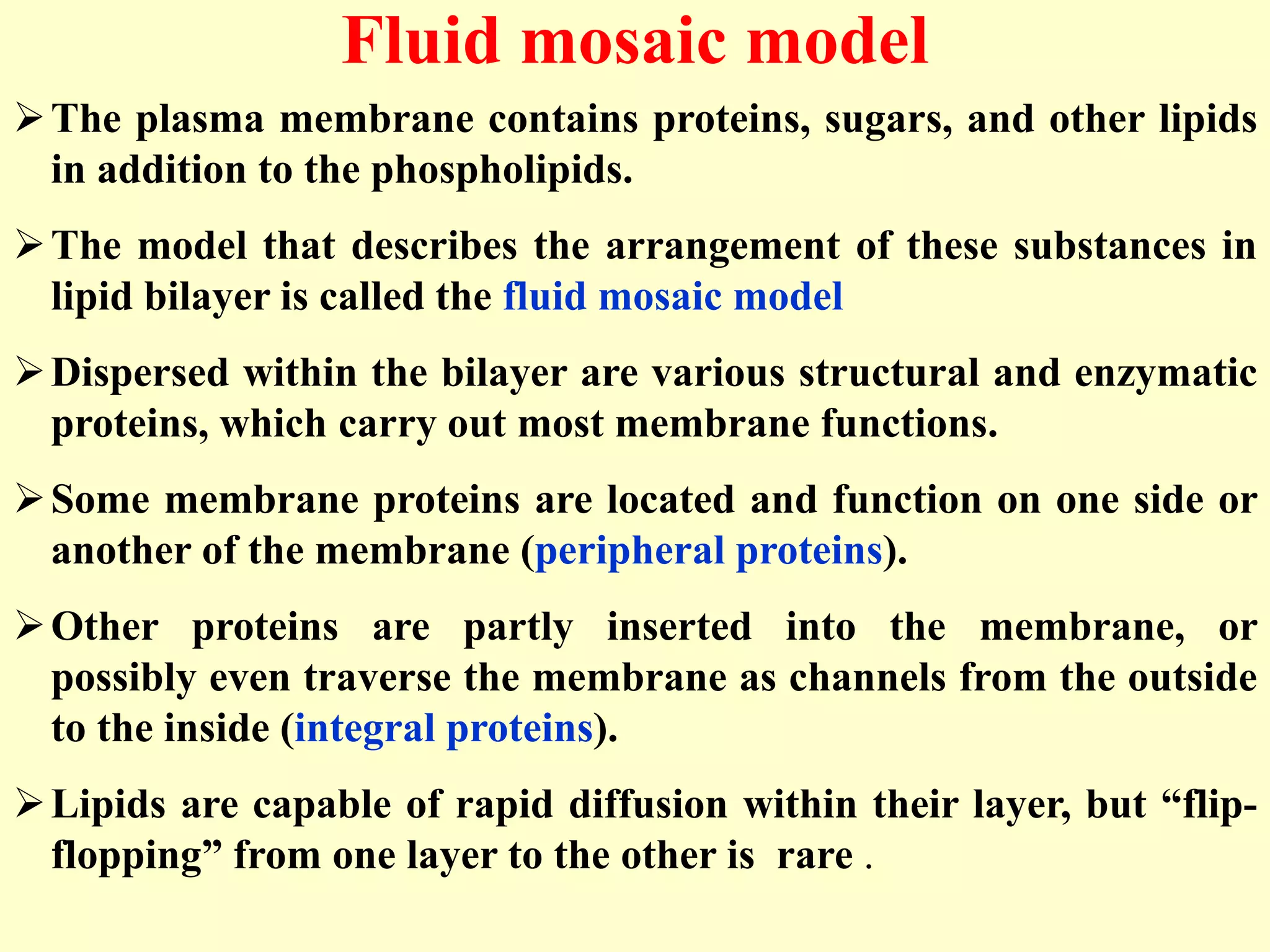 Bacterial-cell-membrane.pdf