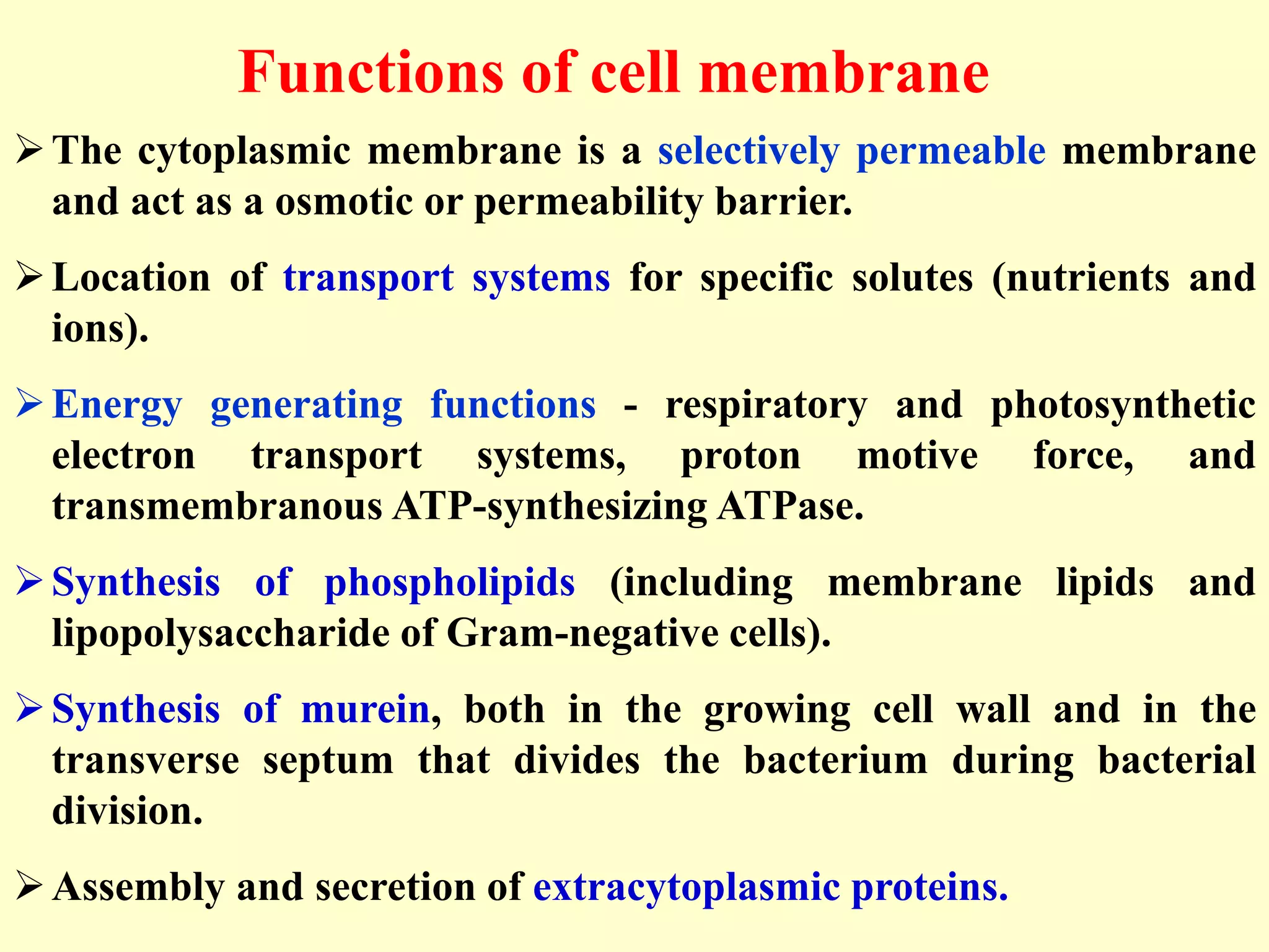 Bacterial-cell-membrane.pdf