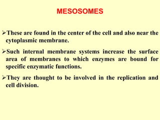 Bacterial-cell-membrane.pdf