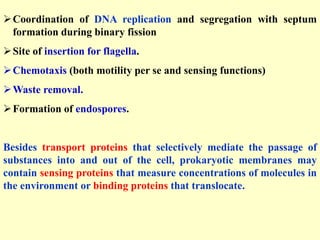 Bacterial-cell-membrane.pdf