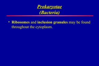 Ppt Bacterial Cell Structure Continued Powerpoint