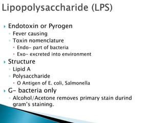 Bacterial-Cell-Structure-Function.pptx