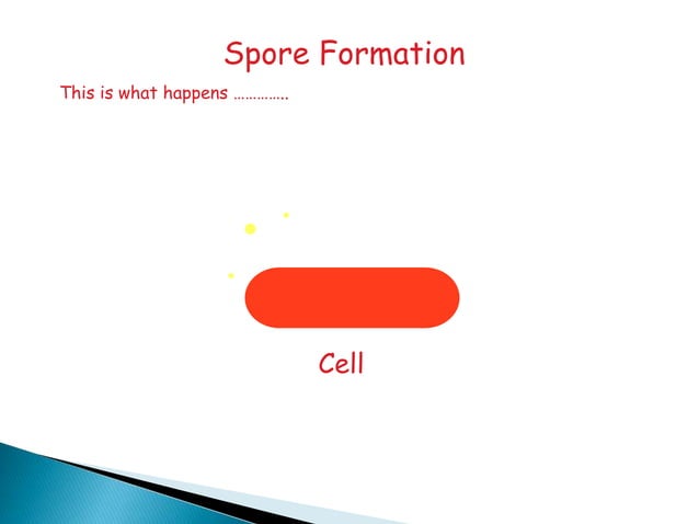 Bacterial-Cell-Structure-Function.pptx | Biological Sciences | Science
