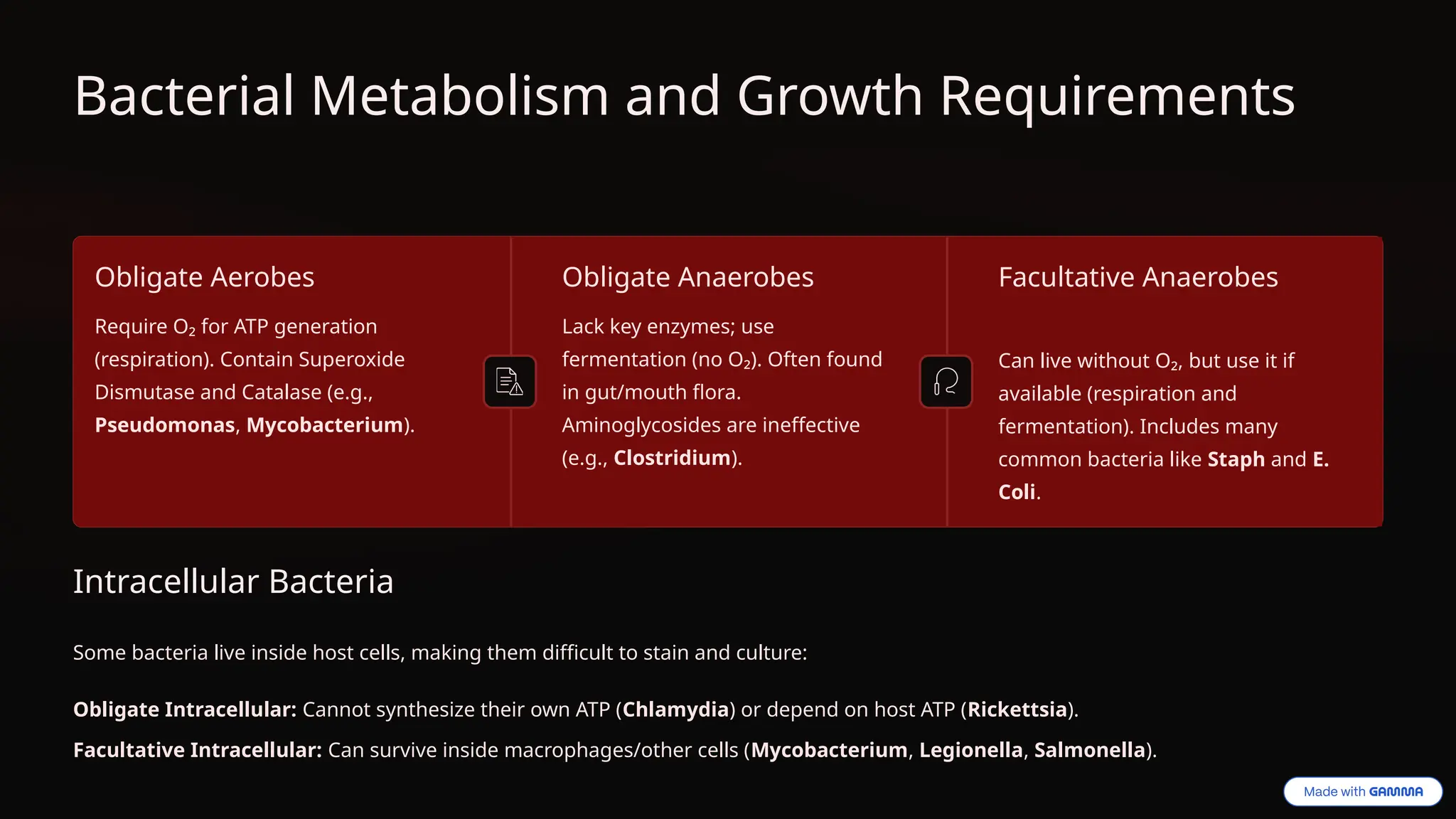 Bacterial-Cells-Structure-Stains-and-Identification.pptx