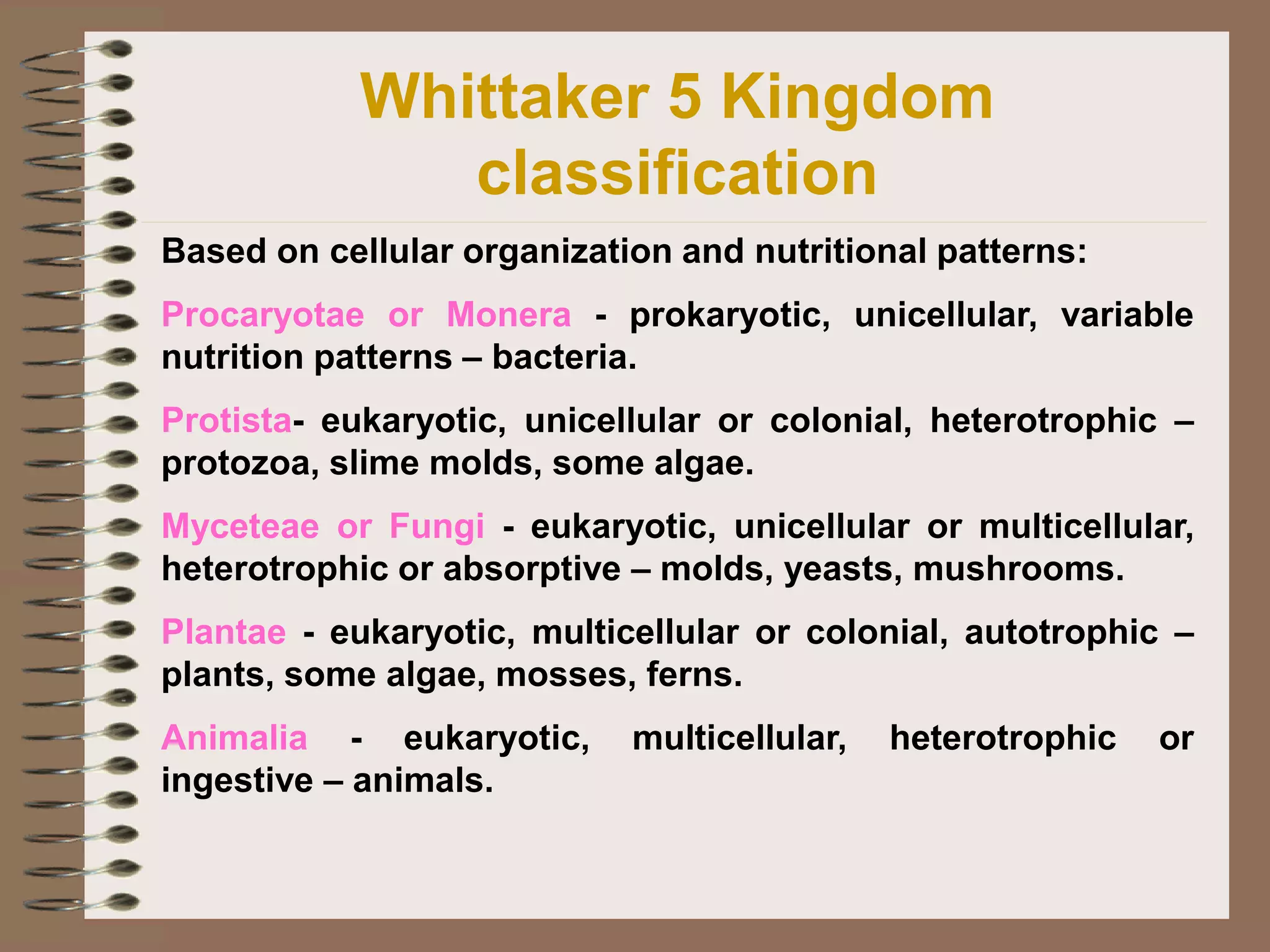 Bacterial-Classification.pdf