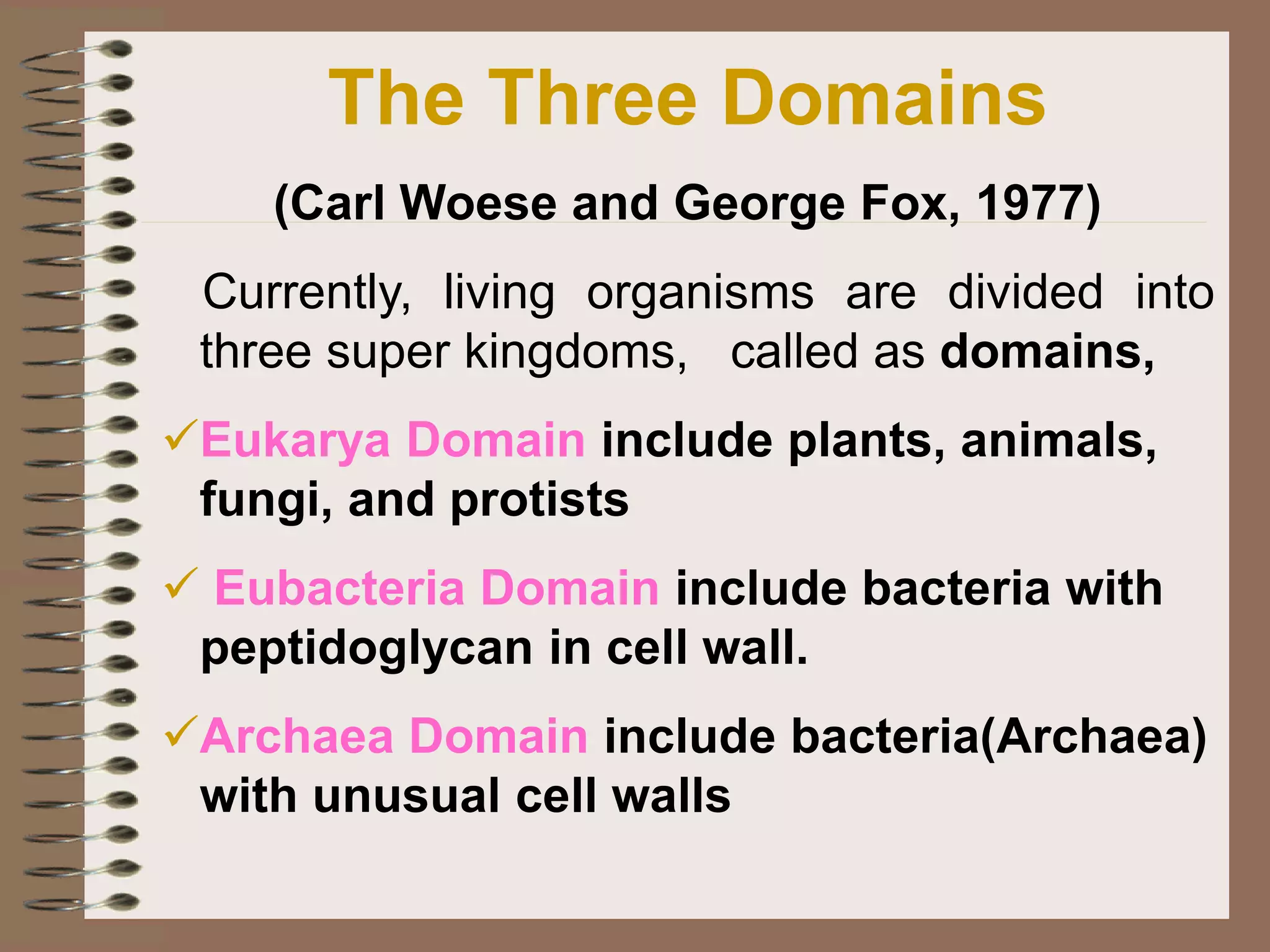 Bacterial-Classification.pdf