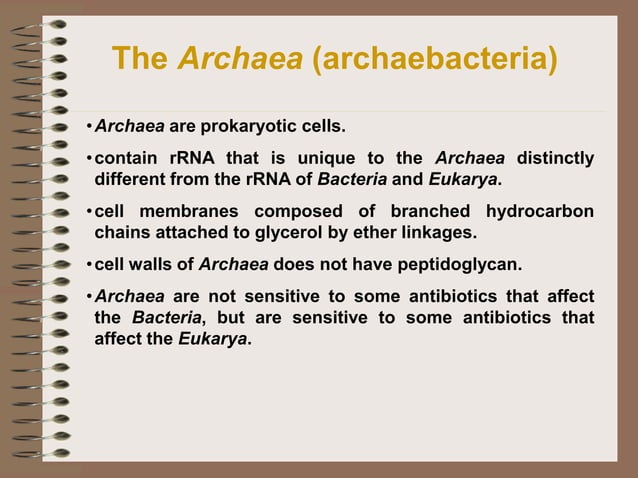 Bacterial Classification Pdf