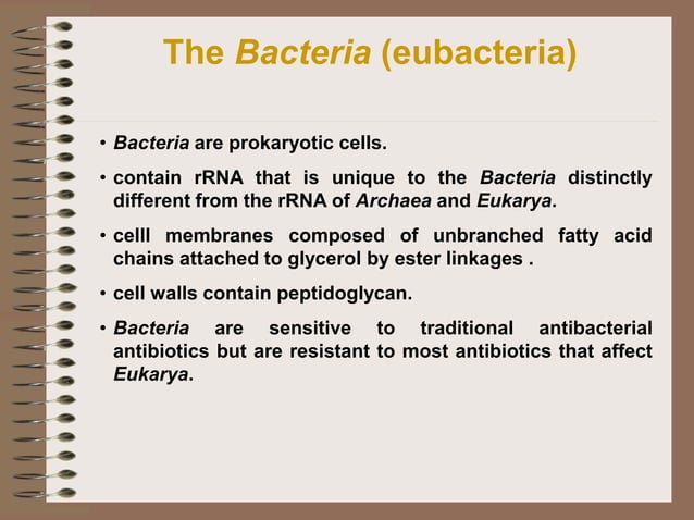 Bacterial-Classification.pdf