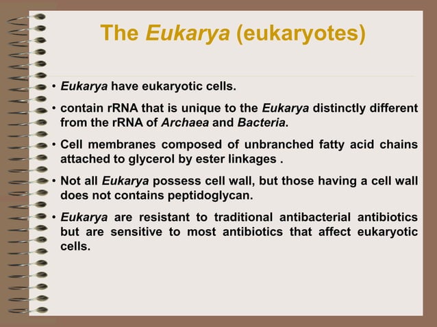 Bacterial Classification Pdf
