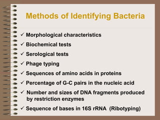 Bacterial-Classification.pdf