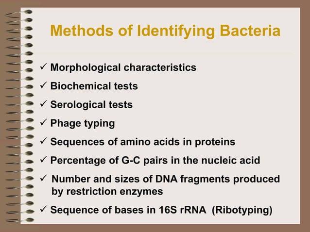 Bacterial Classification Pdf