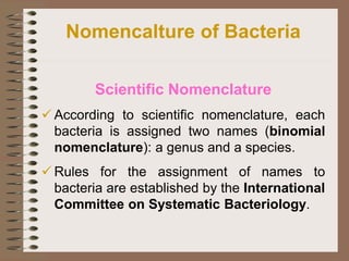 Bacterial-Classification.pdf