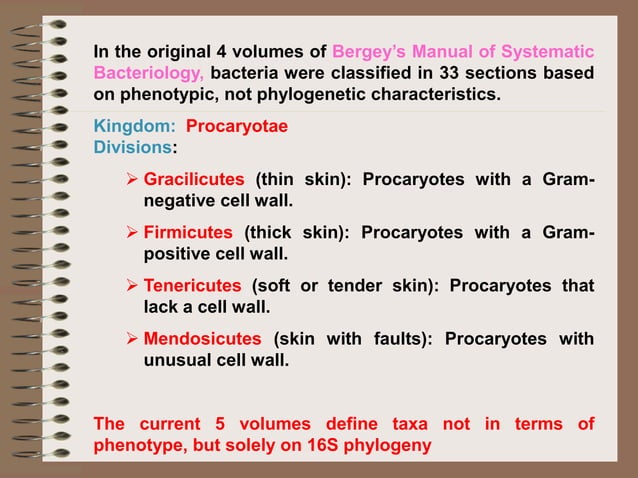 Bacterial-Classification.pdf