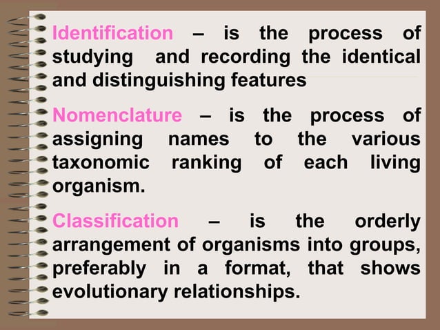 Bacterial-Classification.pdf
