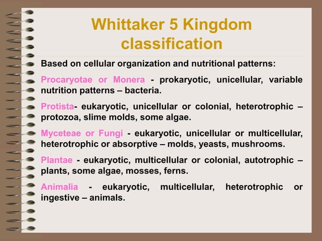 Bacterial-Classification.pdf