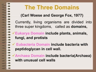 Bacterial-Classification.pdf