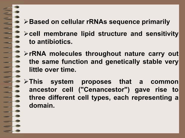 Bacterial Classification Pdf
