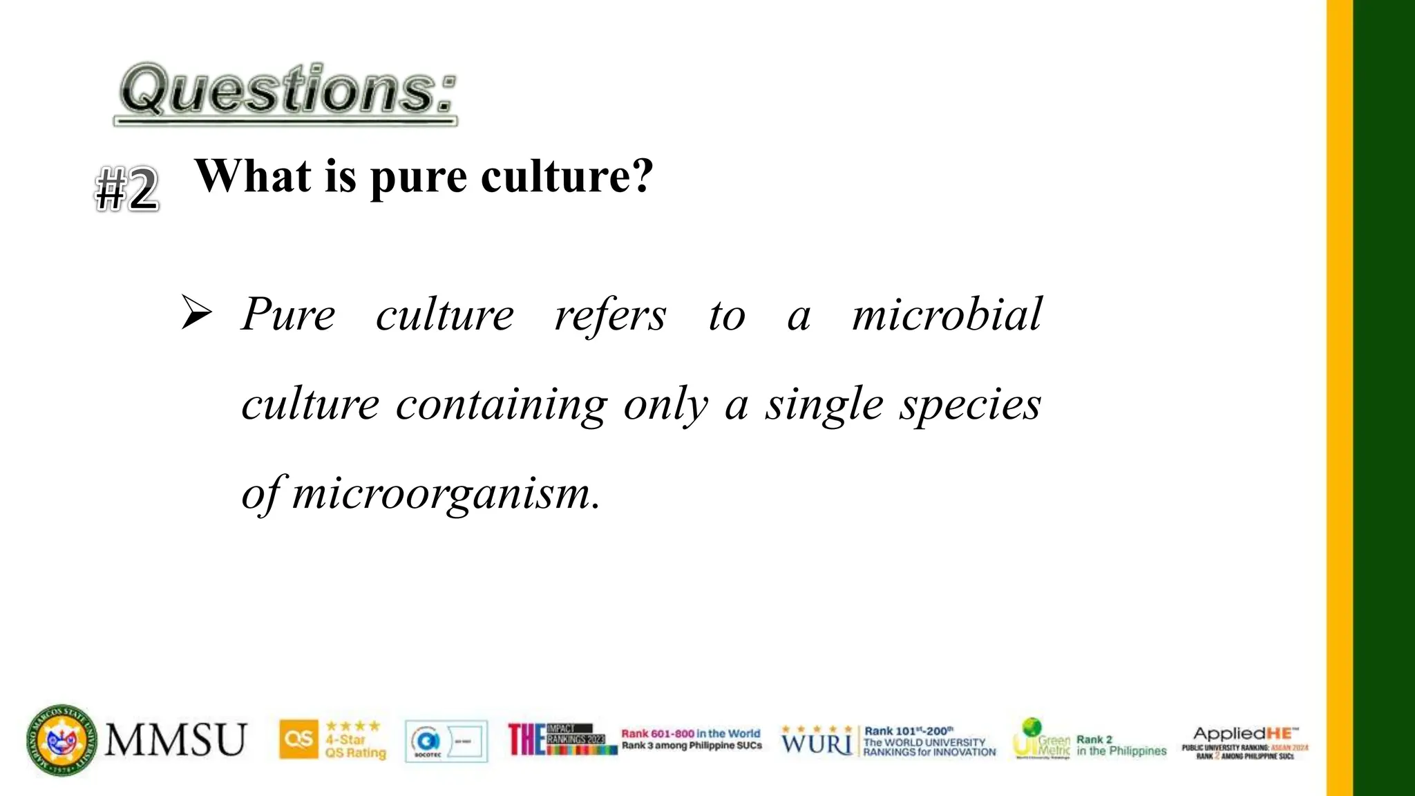 “Cultivating Bacteria: A Brief Overview” | PPT