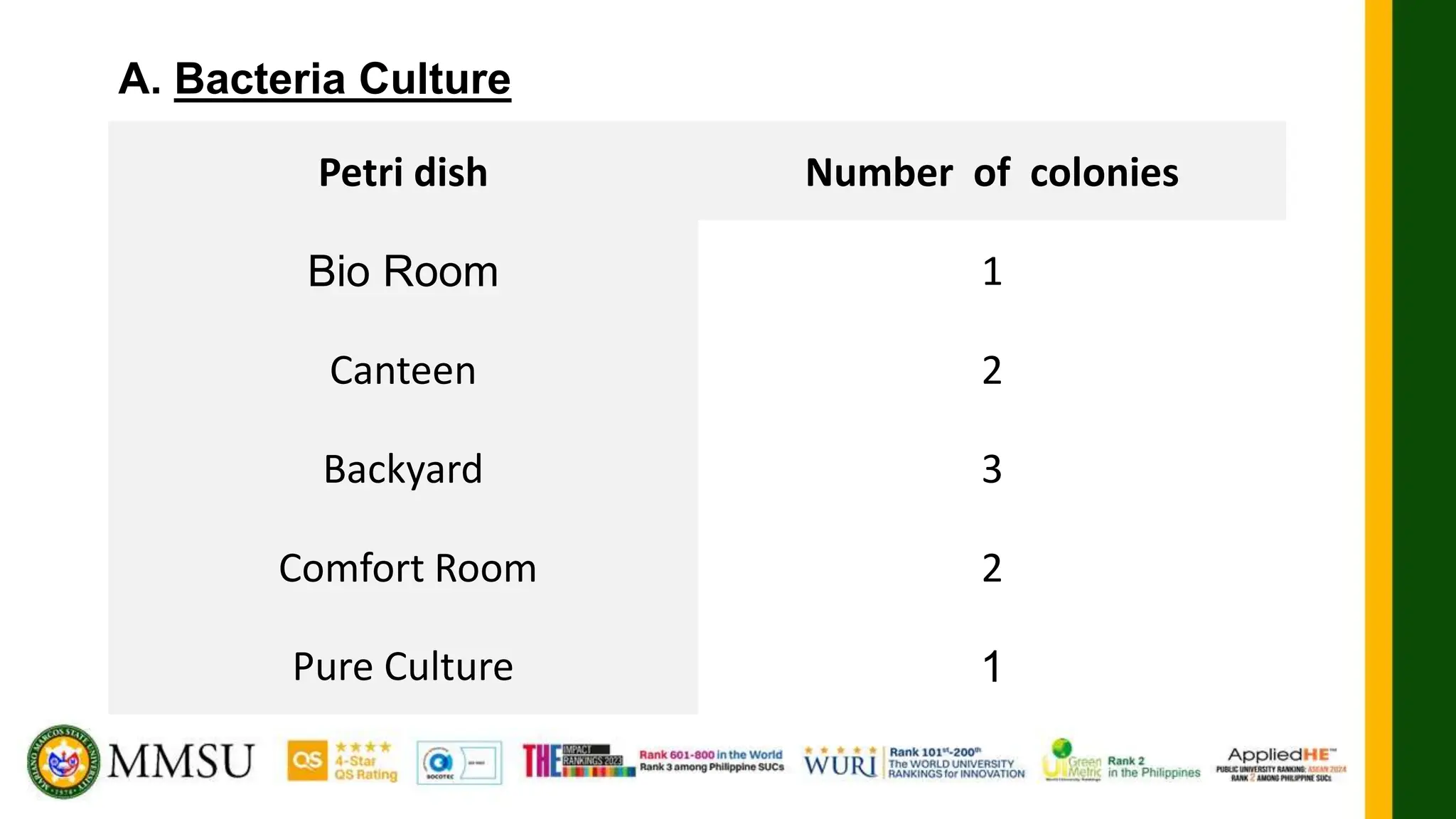“Cultivating Bacteria: A Brief Overview” | PPT