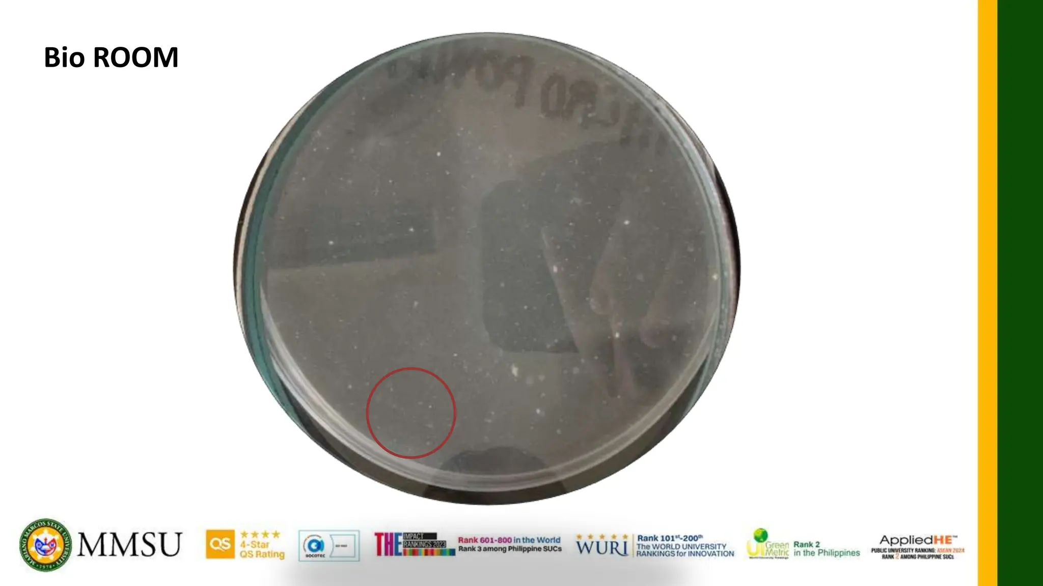 “Cultivating Bacteria: A Brief Overview” | PPT