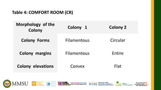 “Cultivating Bacteria: A Brief Overview” | PPT