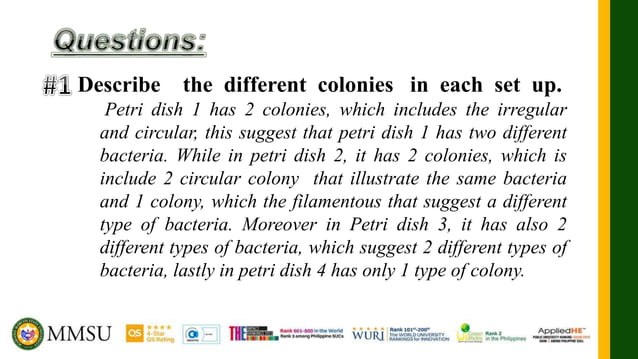 “Cultivating Bacteria: A Brief Overview” | PPT