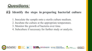 “Cultivating Bacteria: A Brief Overview” | PPTX