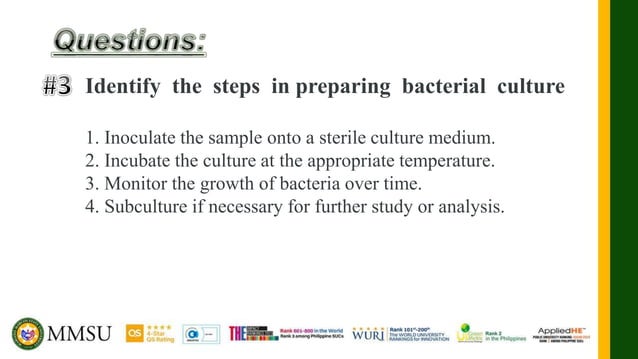 “Cultivating Bacteria: A Brief Overview” | PPT