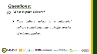 “Cultivating Bacteria: A Brief Overview” | PPT