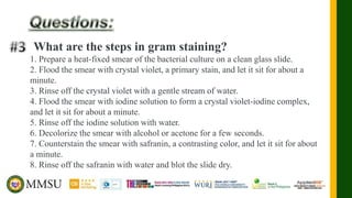 “Cultivating Bacteria: A Brief Overview” | PPT