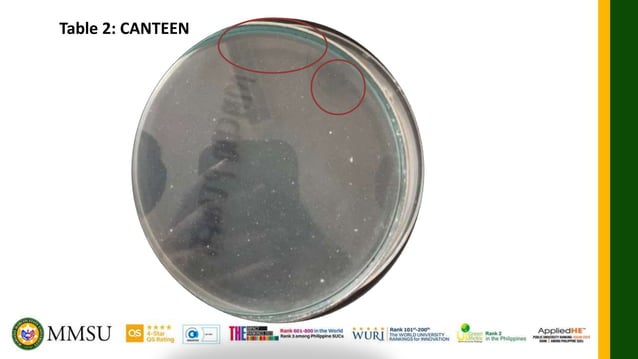 “Cultivating Bacteria: A Brief Overview” | PPT