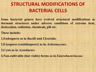 Bacterial-ييييييييييييييييييييييEndospores.pdf