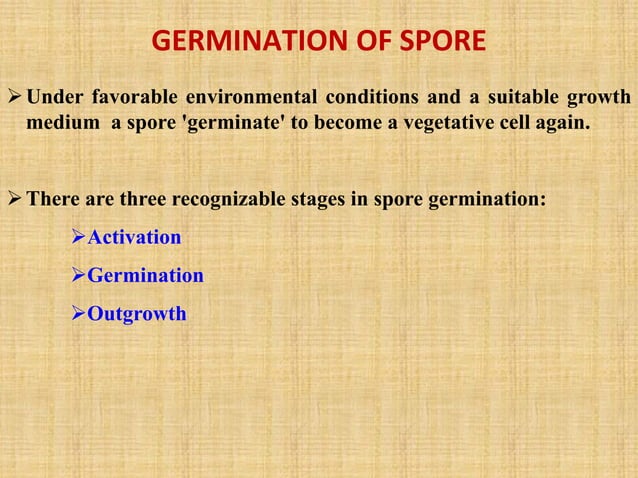 Bacterial-Endosporesد حاتم البيطاررررر.pdf
