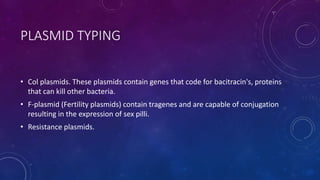 Bacterial genetics | PPTX
