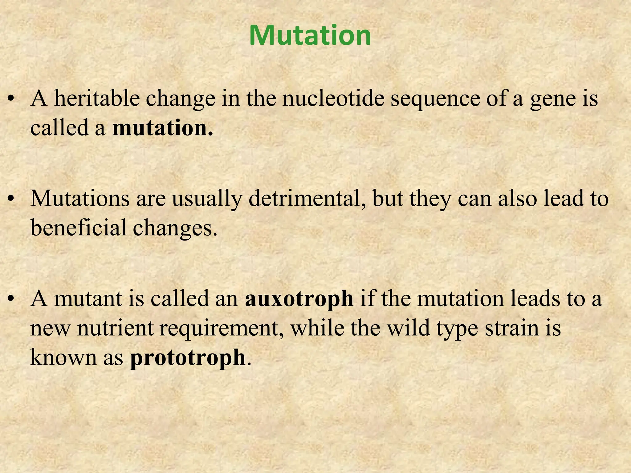 Bacterial-genetics for msc students with explanation | PPT