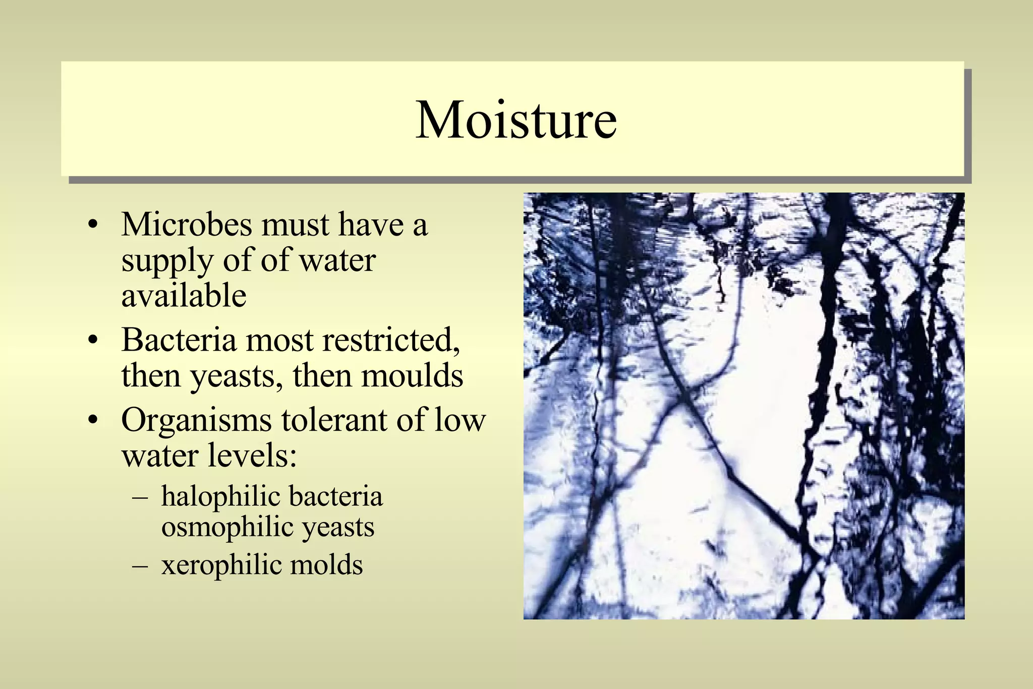 Bacterial Growth Factors | PPT