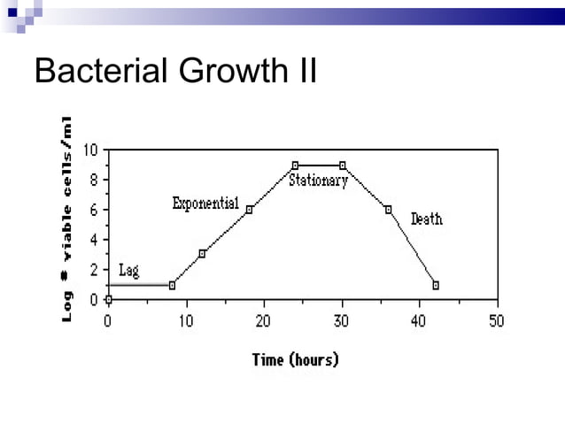 Bacterial Growth Ii | PPT