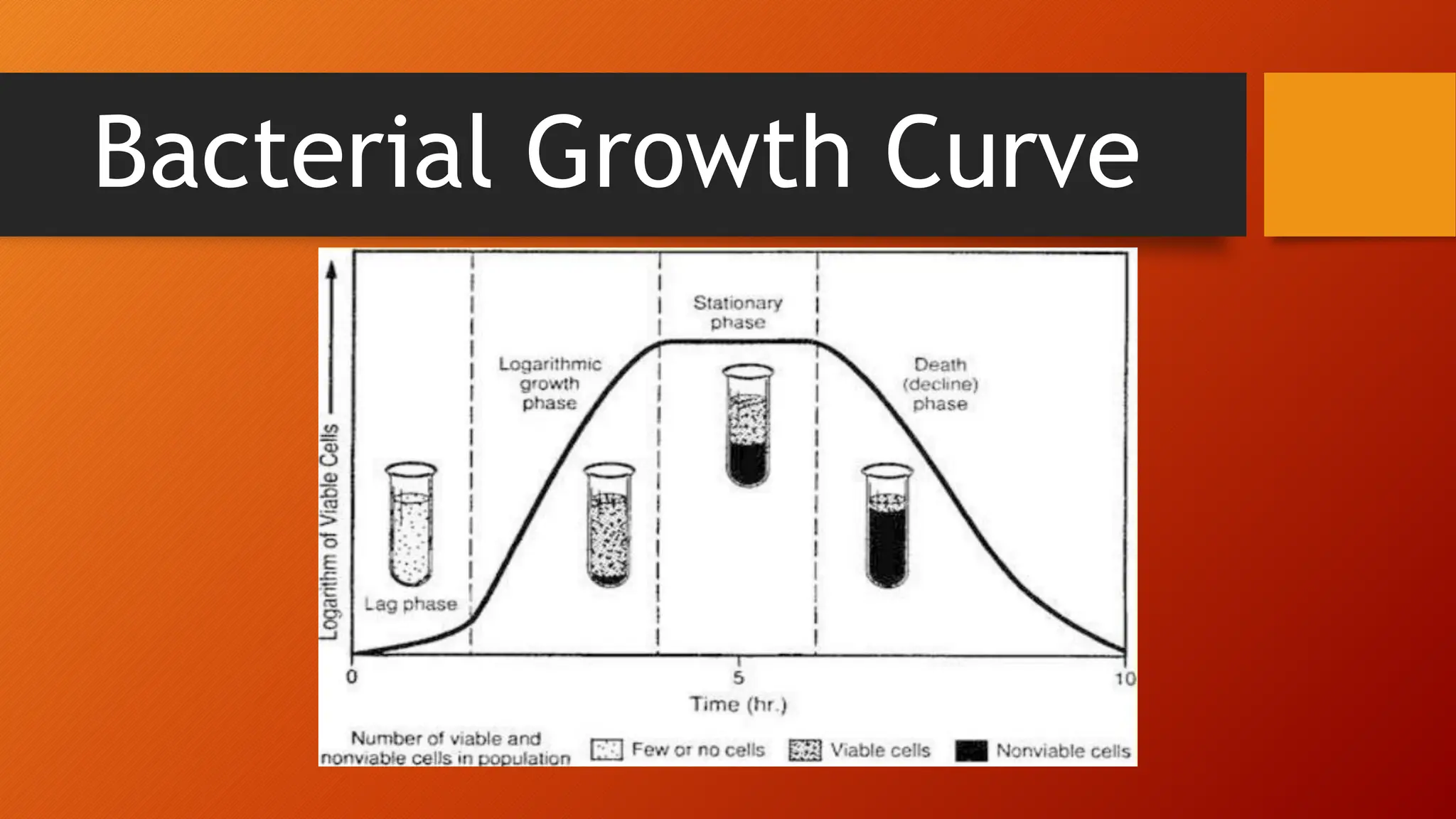 Bacterial-Growth-Requirementsh for Micro Para | PDF