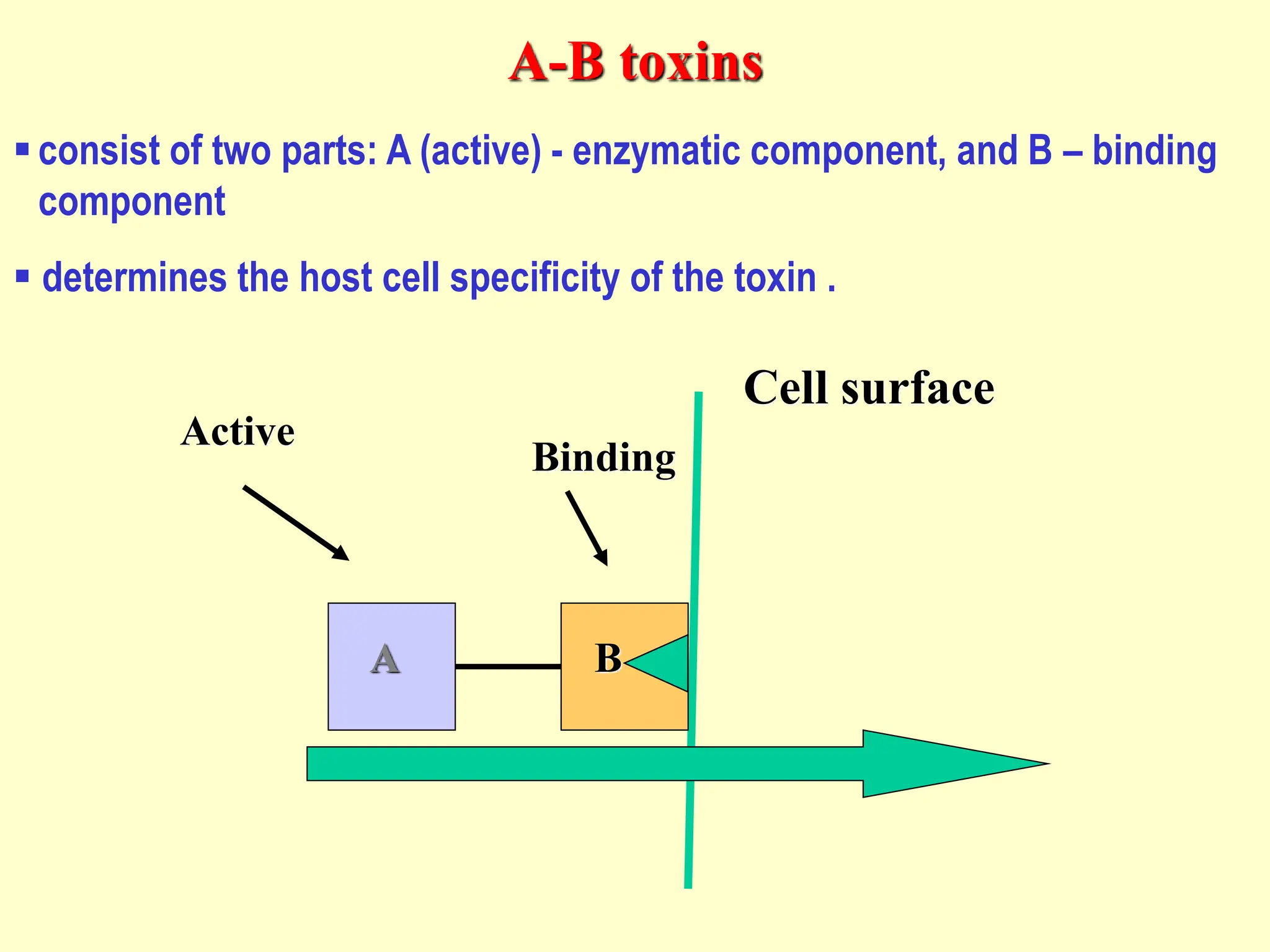Bacterial-Pathogenesis.pdf