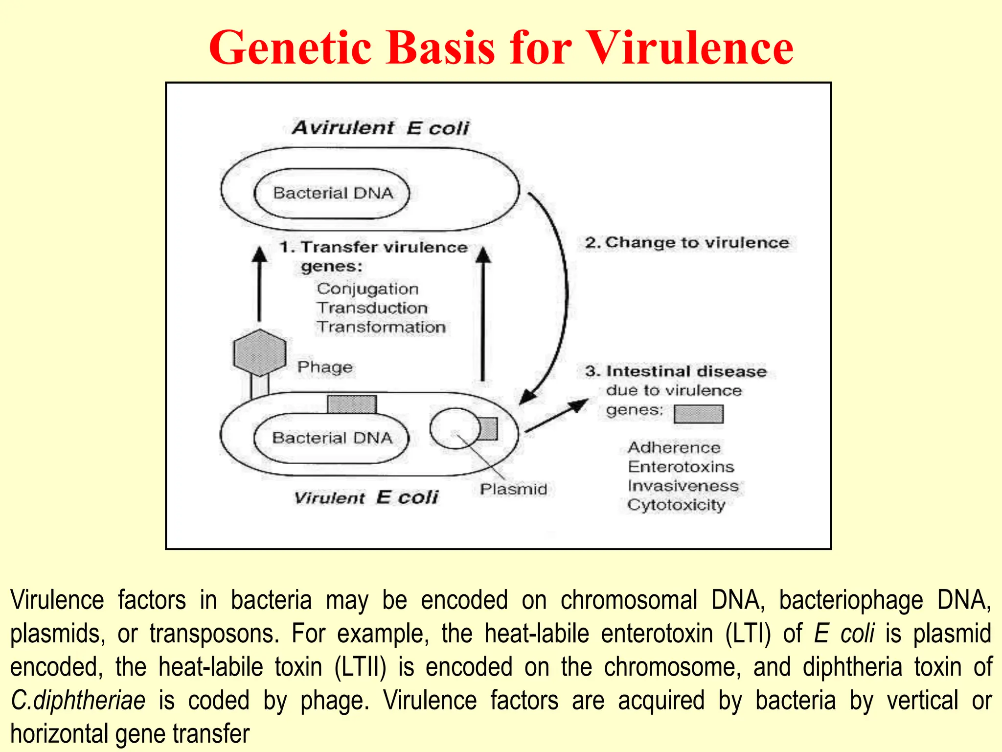 Bacterial-Pathogenesis.pdf