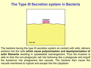 Bacterial-Pathogenesis.pdf