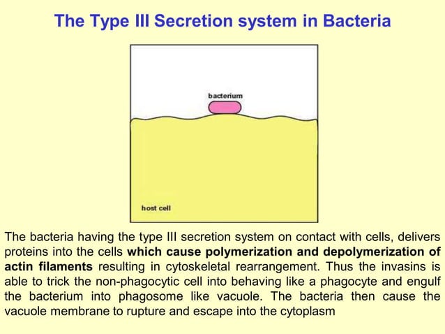 Bacterial-Pathogenesis.pdf