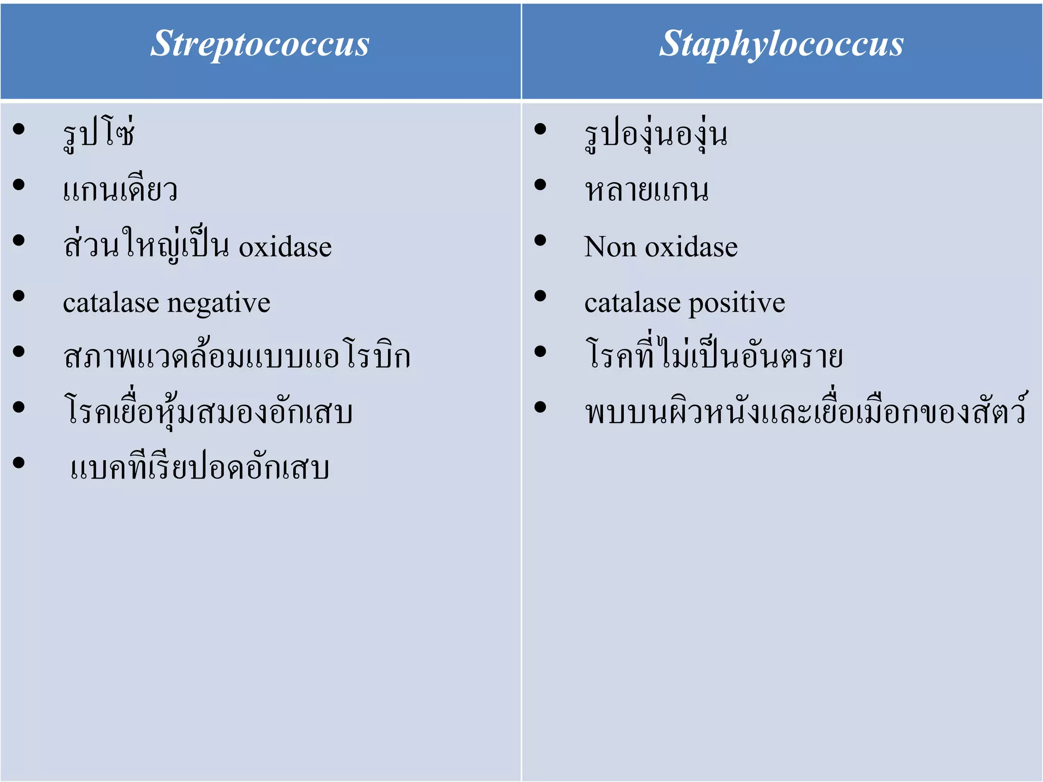 Bacterial Gram Positive Cocci Ppt