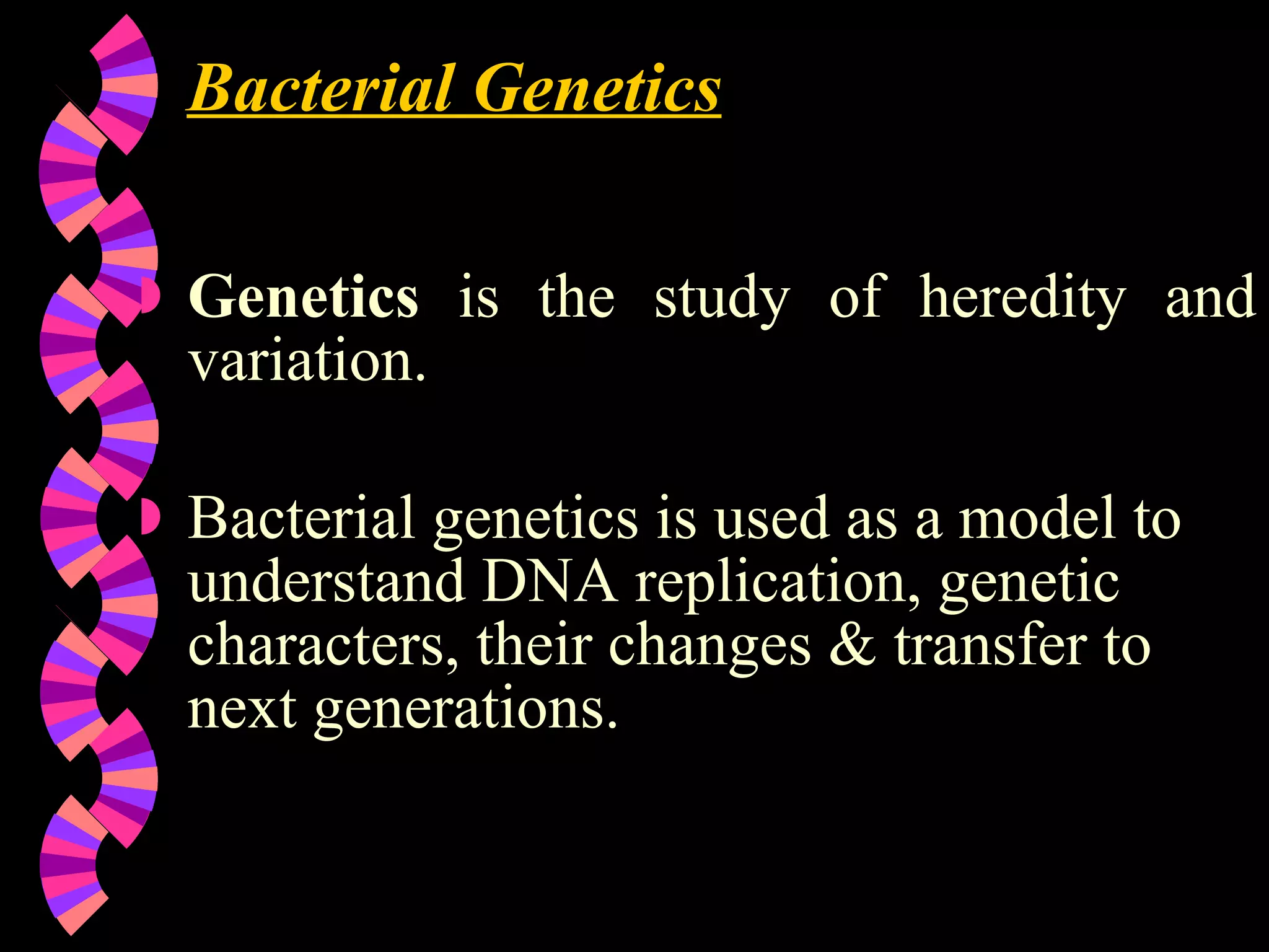 Bacterial Physiology and genetics | PPT