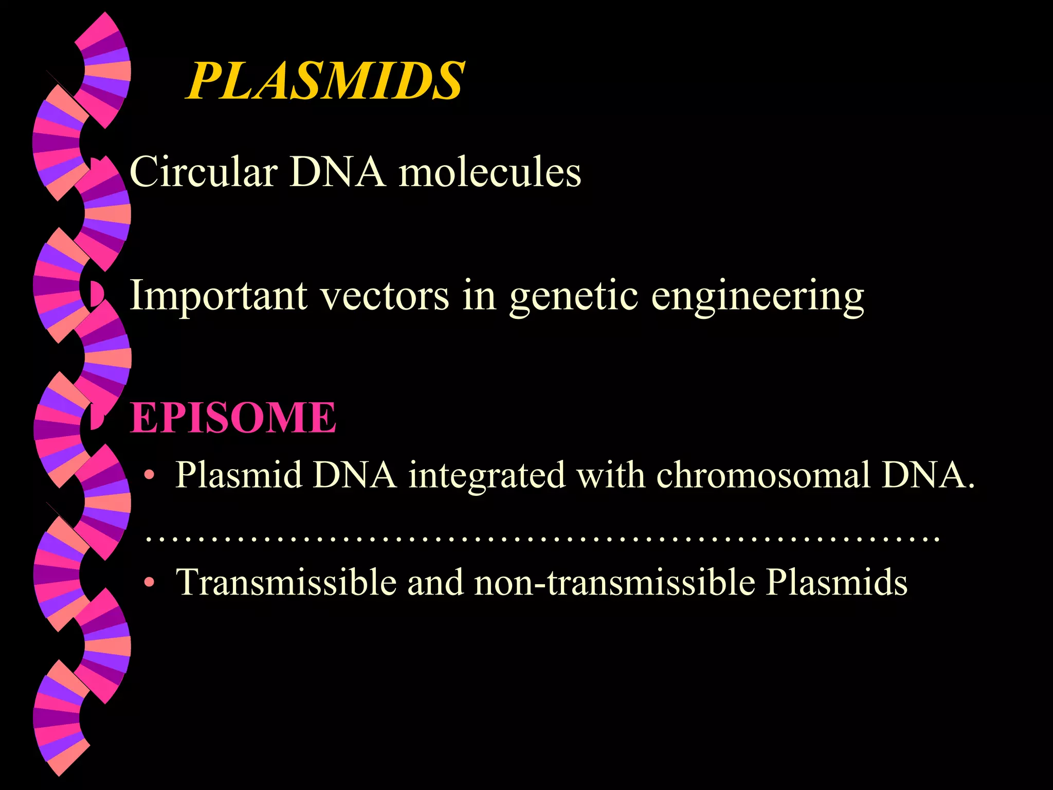 Bacterial Physiology and genetics | PPT