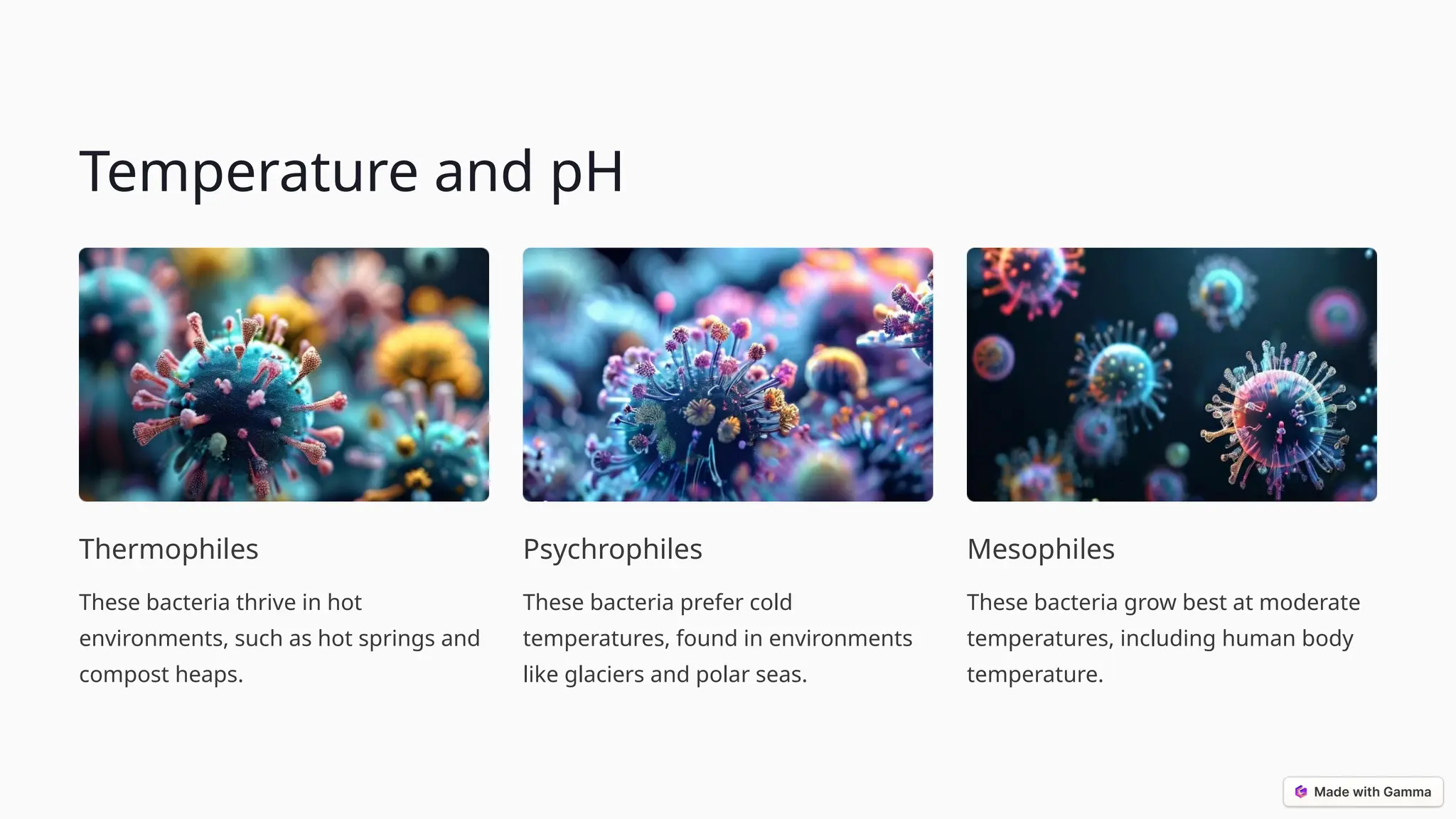 Bacterial- Physiology-Growth- Curve.pptx